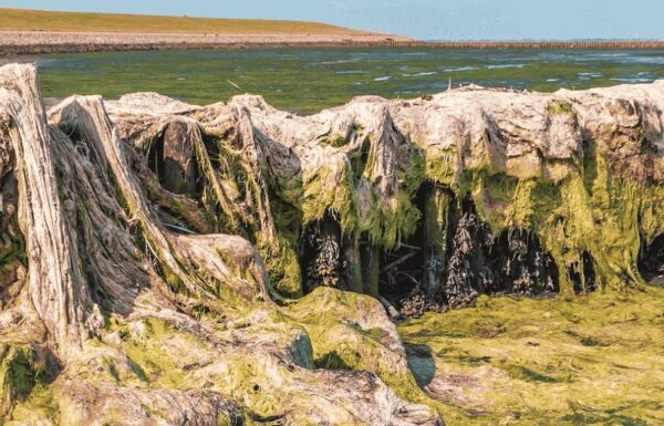 Program „Mój rower elektryczny”. Jakie warunki trzeba spełnić? – Elventure